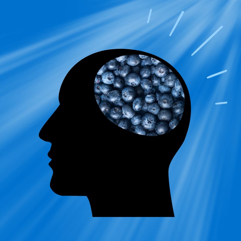Are Blueberries Good for Your Brain? 5 Benefits | MOSH