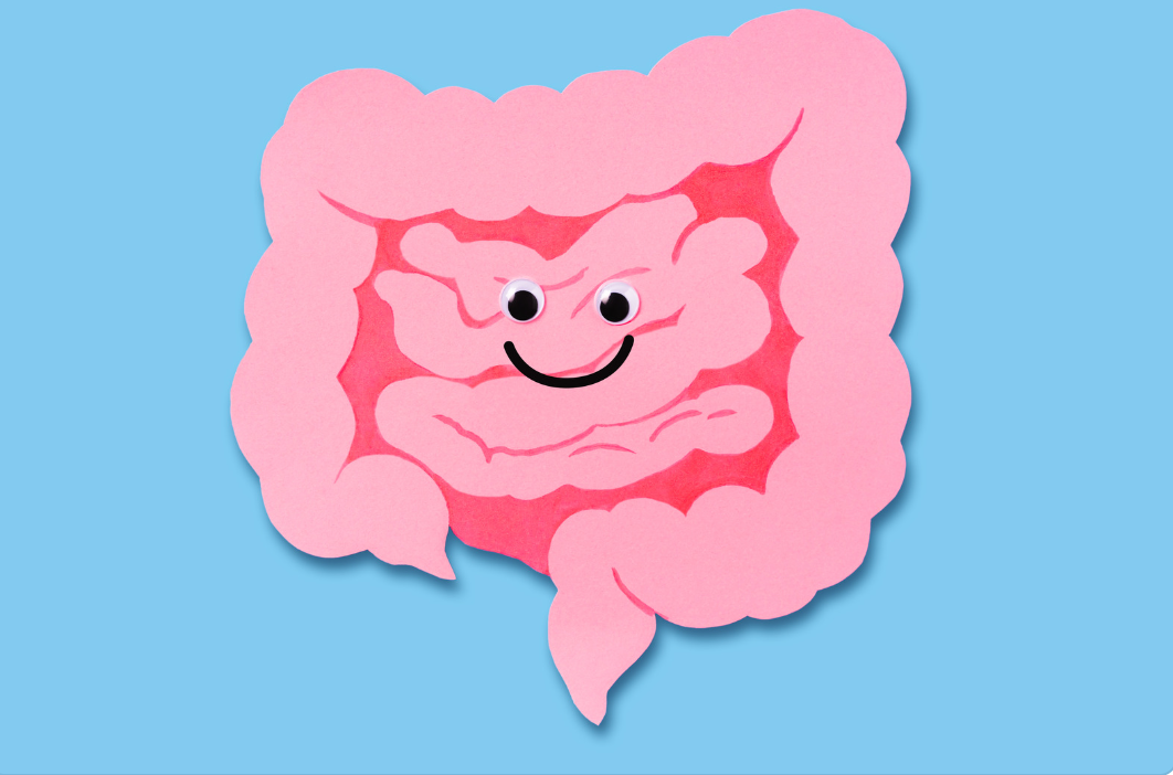The Brain-Gut Connection: Everything You Need To Know – MOSH