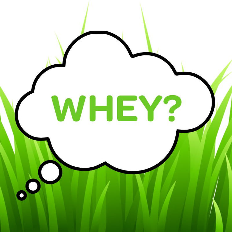 Grass-Fed Whey vs. Regular Whey: Is Grass-Fed Whey Better? – MOSH