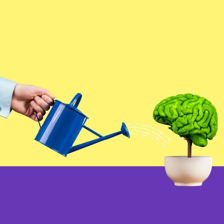 Why Is My Memory So Bad & What Can I Do to Strengthen It? – MOSH