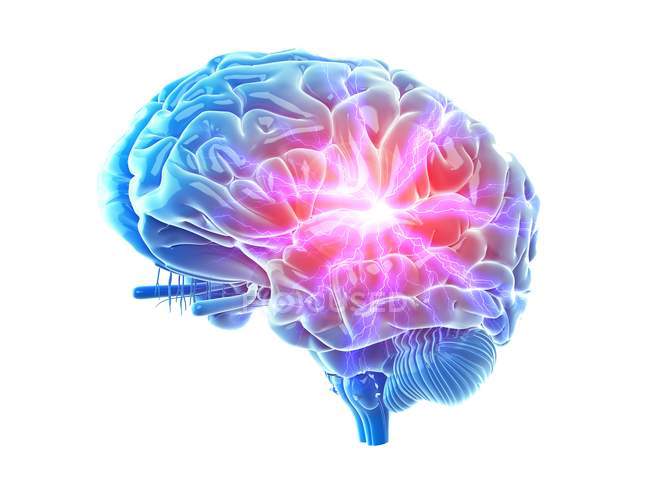 14 Worst Habits For Your Brain | MOSH